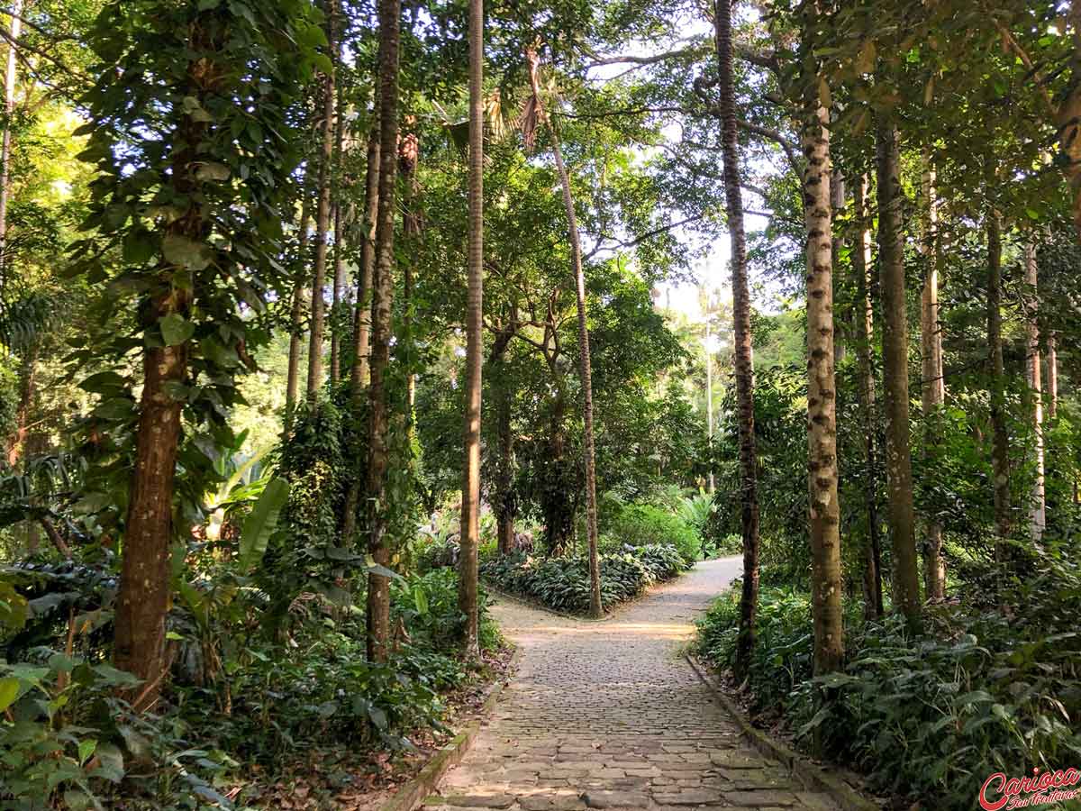 Parque Lage Rio de Janeiro: onde fica, o que fazer e restaurante