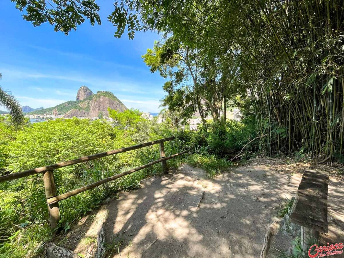 Morro e Mirante do Pasmado, Botafogo: onde fica e como chegar