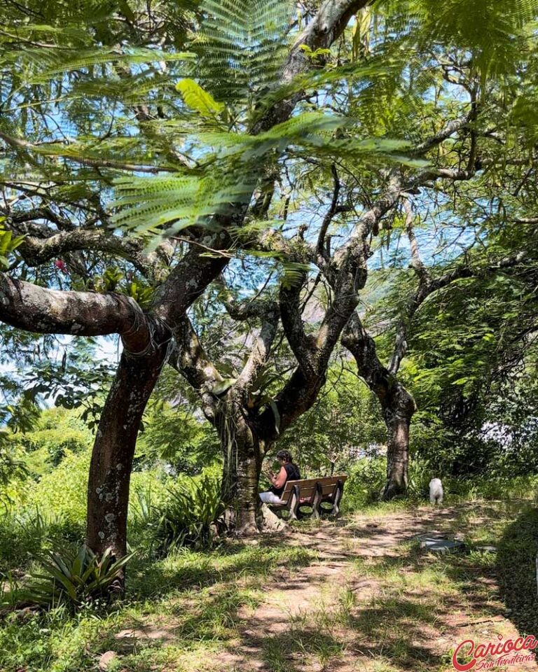 Morro e Mirante do Pasmado, Botafogo: onde fica e como chegar